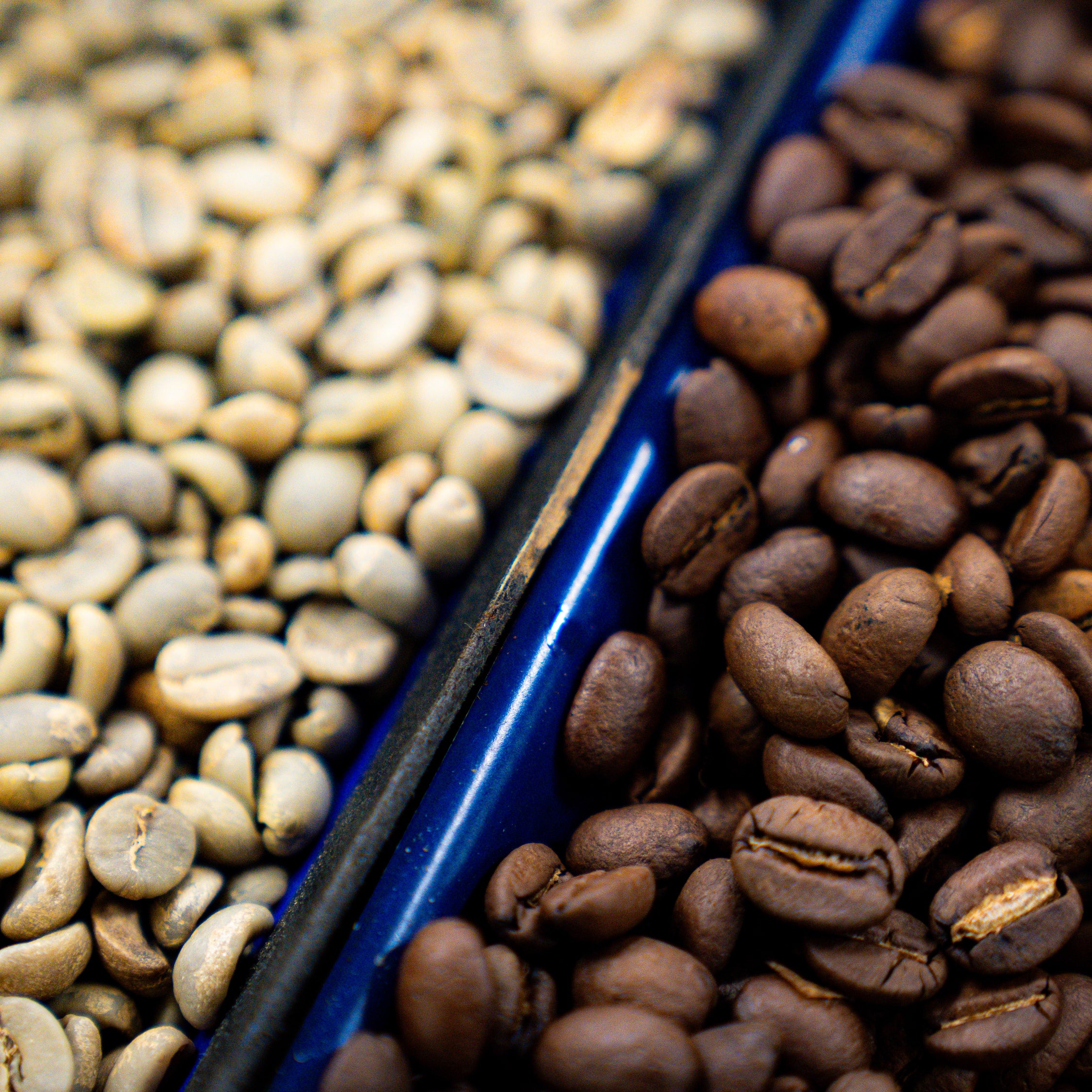 Our Espresso & Coffee – Segafredo